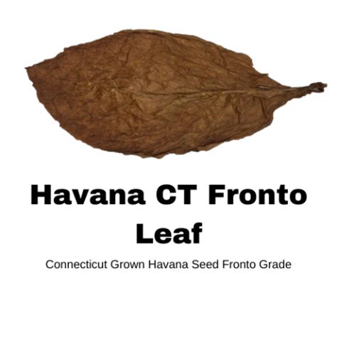 Everything About Grabba And Fronto Leaves Bluegrass Tobacco