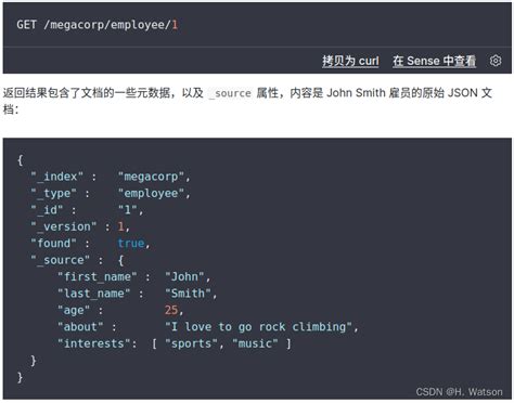 Elasticsearch Csdn