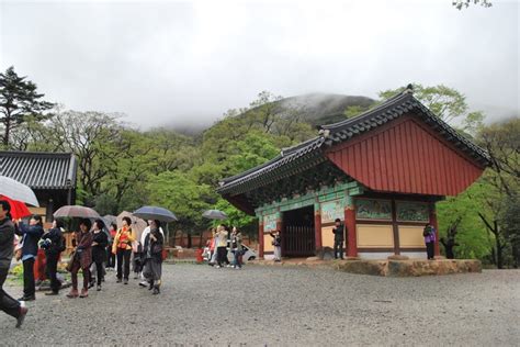 Dae Heung Sa Temple Haenam The Mist From The Rain Makes The