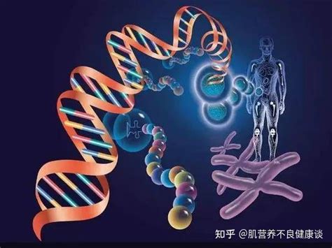 什么是肌营养不良？ 知乎