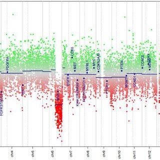 Copy Number Variation Cnv Profile Dna Methylation Profiling Analyses