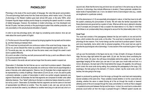 Phonology PHONOLOGY Phonology Is The Study Of The Sound System Of Language The Rules That