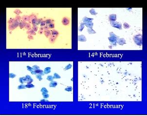 Theology Anne Barne S Qs Flashcards Quizlet