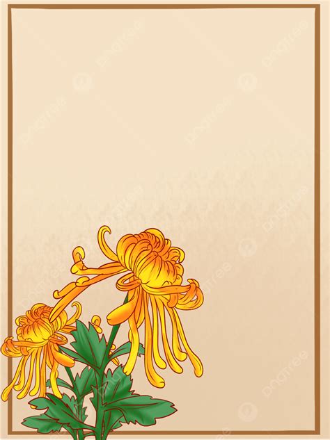 Elegant Chinese Style Chrysanthemum Sunset Background Elegant Chinese