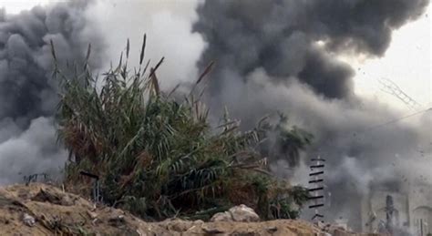 Израел спира от днес боевете в Газа заради ваксинациите срещу полиомиелит Информационна