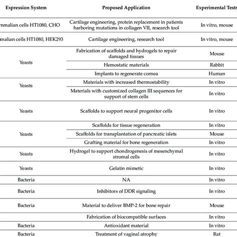 Examples Of Recombinant Collagen Based Constructs And Their Potential