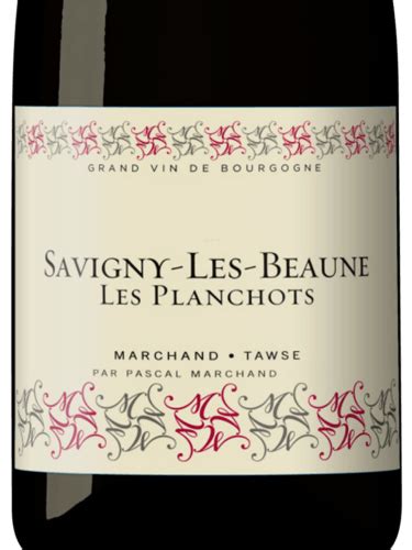 Pascal Marchand Tawse Savigny lès Beaune Les Planchots Vivino Australia