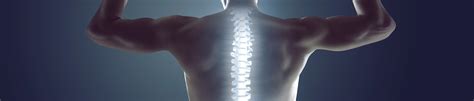 «Healthy Spine» Series