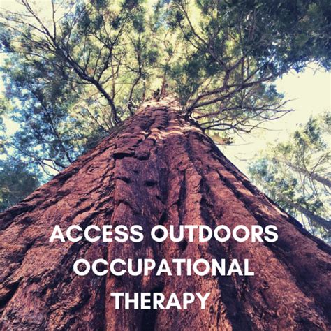 Accessibility Standards And Guidelines