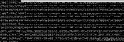 极速掌控docker全链路：容器操控nginx主页改造busybox工具实践腾讯云仓库部署 Busybox Docker Csdn博客