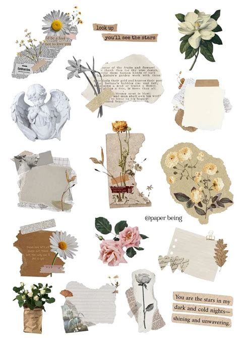 Goodnotes复古拼贴素材大合集③ 花瓣网