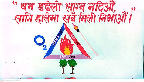 डिभिजन वन कार्यालय