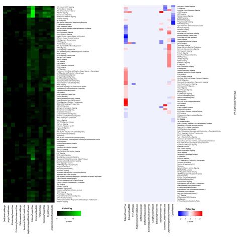 Agglomerative Unsupervised Hierarchical Clustering Of Ingenuity Pathway