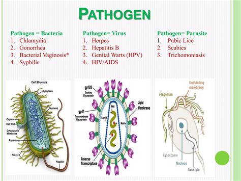 Sexually Transmitted Diseases Pptx