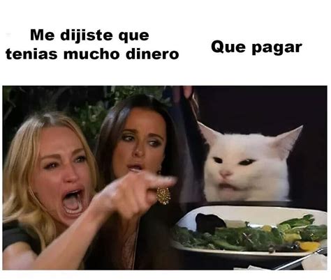 Imperdible Selección Con Los Mejores Memes Del Gato En La Mesa