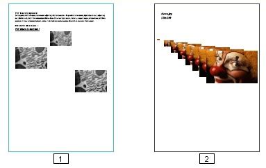 PDF Macro Extension ImageJ Documentation Wiki
