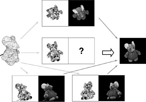 Efficient Coding Hypothesis Semantic Scholar