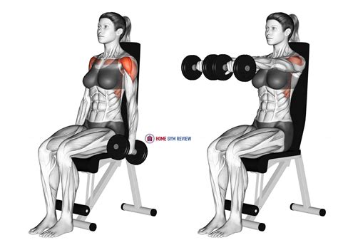 Dumbbell Seated Front Raise Female Home Gym Review