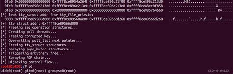 Linux Kernel Pwn 内核利用 Sky123s Site Linux Kernel Pwn 内核利用 Sky123s Site