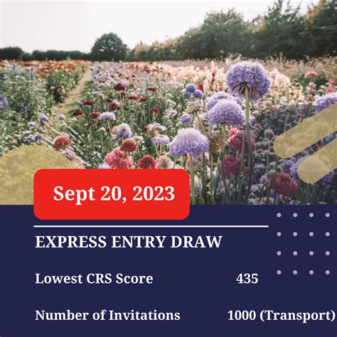 Book A No Cost Express Entry Assessment With A Canadian Immigration