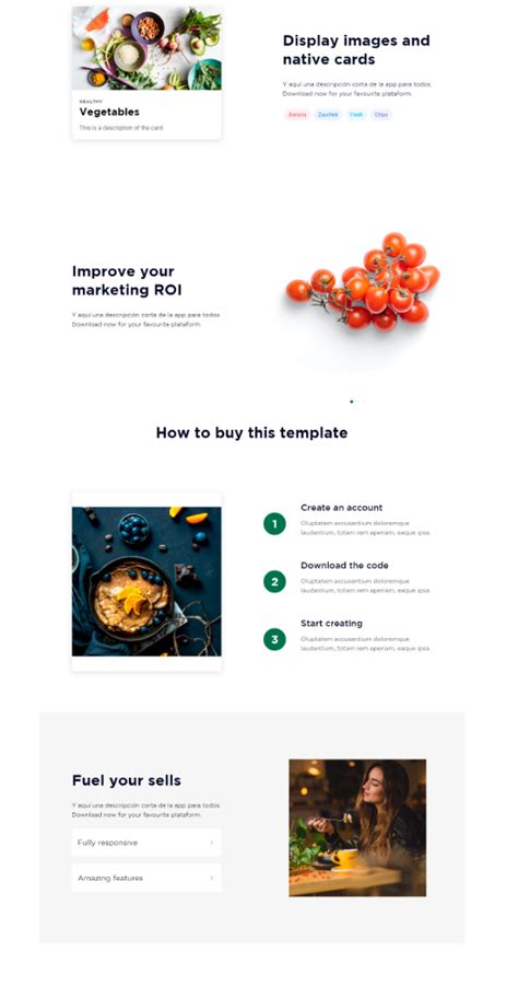 Web Template Professional Ionic Templates Web Template Professional Ionic Templates
