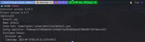 `ockam Status` Should Provide More User Friendly Information When A
