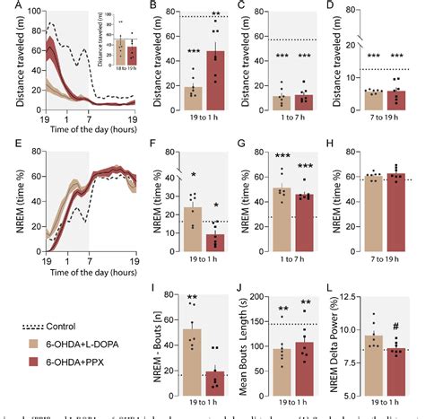 Figure 1 From A Mouse Model Of Sleep Disorders In Parkinsons Disease Showing Distinct Effects