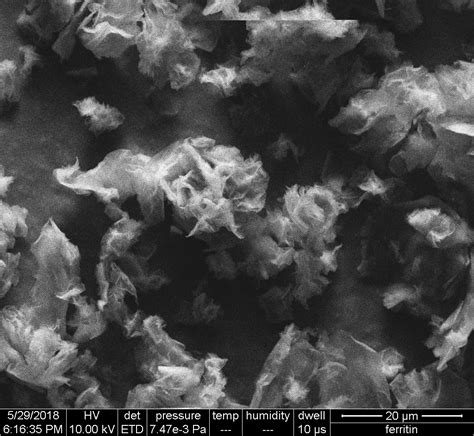 Amine Functionalized Graphene Oxide Powder Graphenea Eu