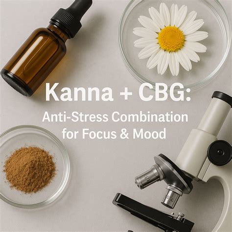 Hhc Legality In Europe Canna Health Amsterdam