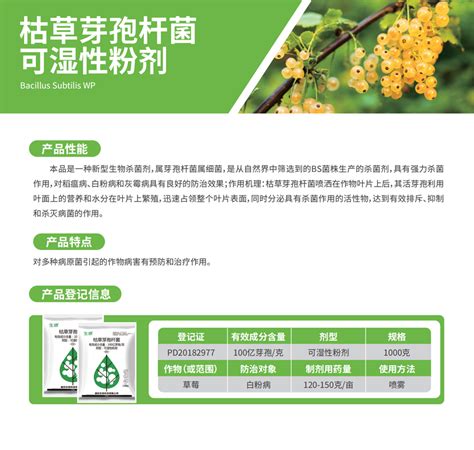 100亿芽孢克枯草芽孢杆菌 康欣生物科技有限公司