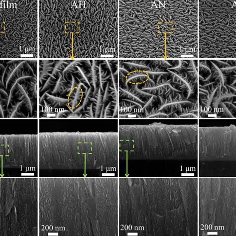 The Fesem Micrographs Of Surface And Cross Section Of Ws2 Film Before Download Scientific