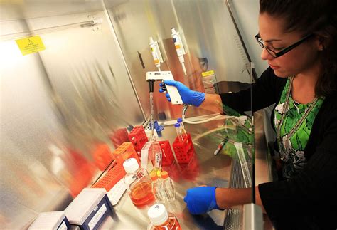 Regenerative Medicine Definition Stem Cells And Facts Britannica