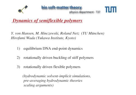 Pdf Dynamics Of Semiflexible Polymersdnatec09 Presentations · Fluorescence Correlation