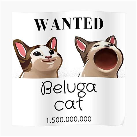Download Beluga Cat Sticker Wallpaper