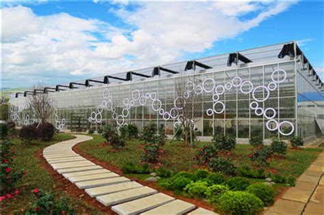 河南温室大棚厂家河南薄膜温室安装玻璃大棚价格 河南亚圣温室工程