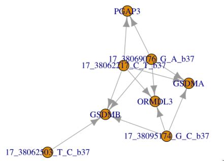 Github Vjcitn Jpnetpack Infrastructure For Gene Regulatory Network Analysis