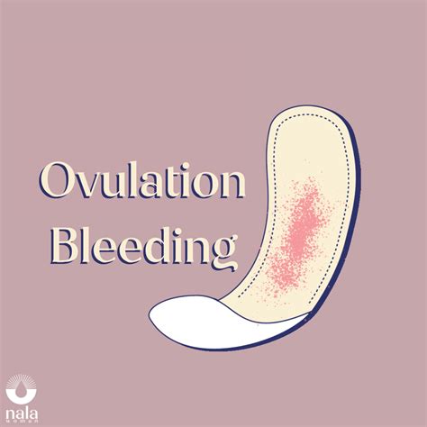 Spotting In Between Your Period Its Ovulation Bleeding