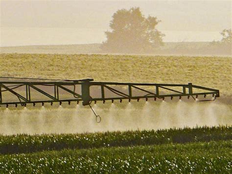 Fertilizer Additives Micronutrients And Other B And D Chemical