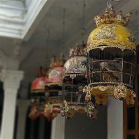 New Klm Bird Farm Youtube