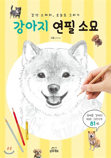 강아지 집 색칠