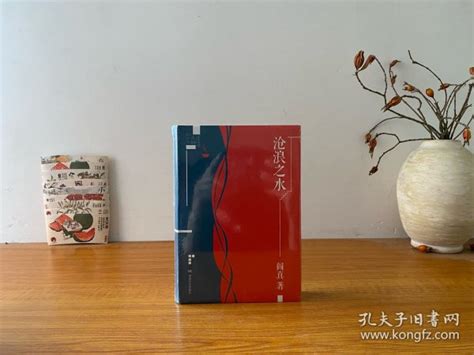 沧浪之水插图典藏版 全新正版未拆封 阎真 孔夫子旧书网