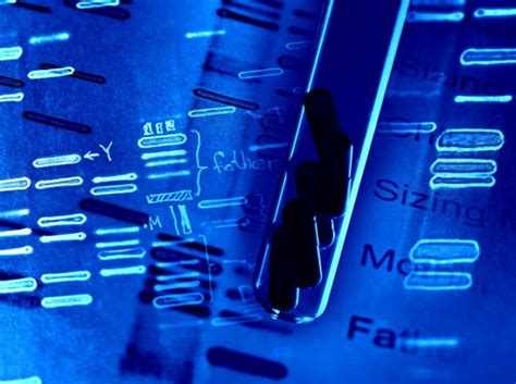 Dna 범죄수사 — Synthesis Based Biofusion Technology Lab
