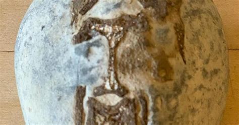 Fossil Album On Imgur