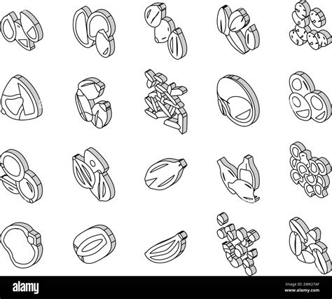 Seed Plant Agriculture Culture Isometric Icons Set Vector Stock Vector