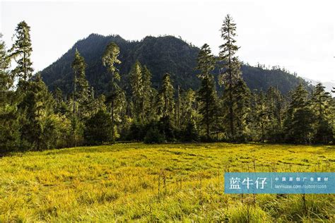 西藏南伊沟 蓝牛仔影像 中国原创广告影像素材