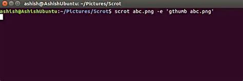 How To Take Screenshots On Linux Using Scrot