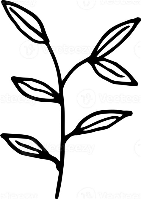 Hand Drawn Floral Leaf Line Art 27154543 Png