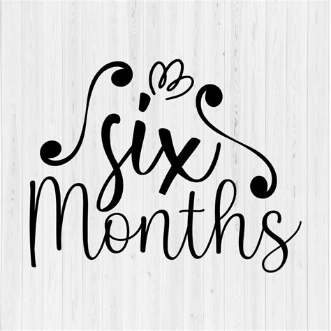 Six Months Masterbundles