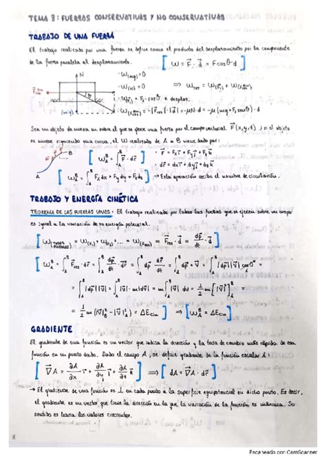 Assumptions Concepto Y Apuntes Relacionados Wuolah