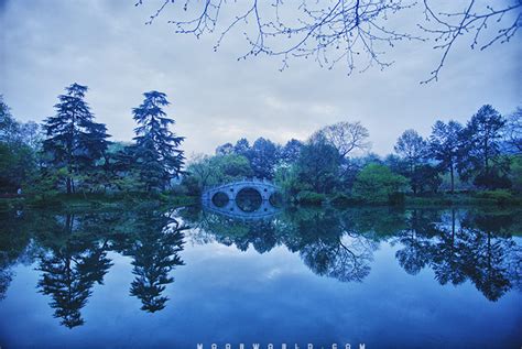 晨 Moor世界